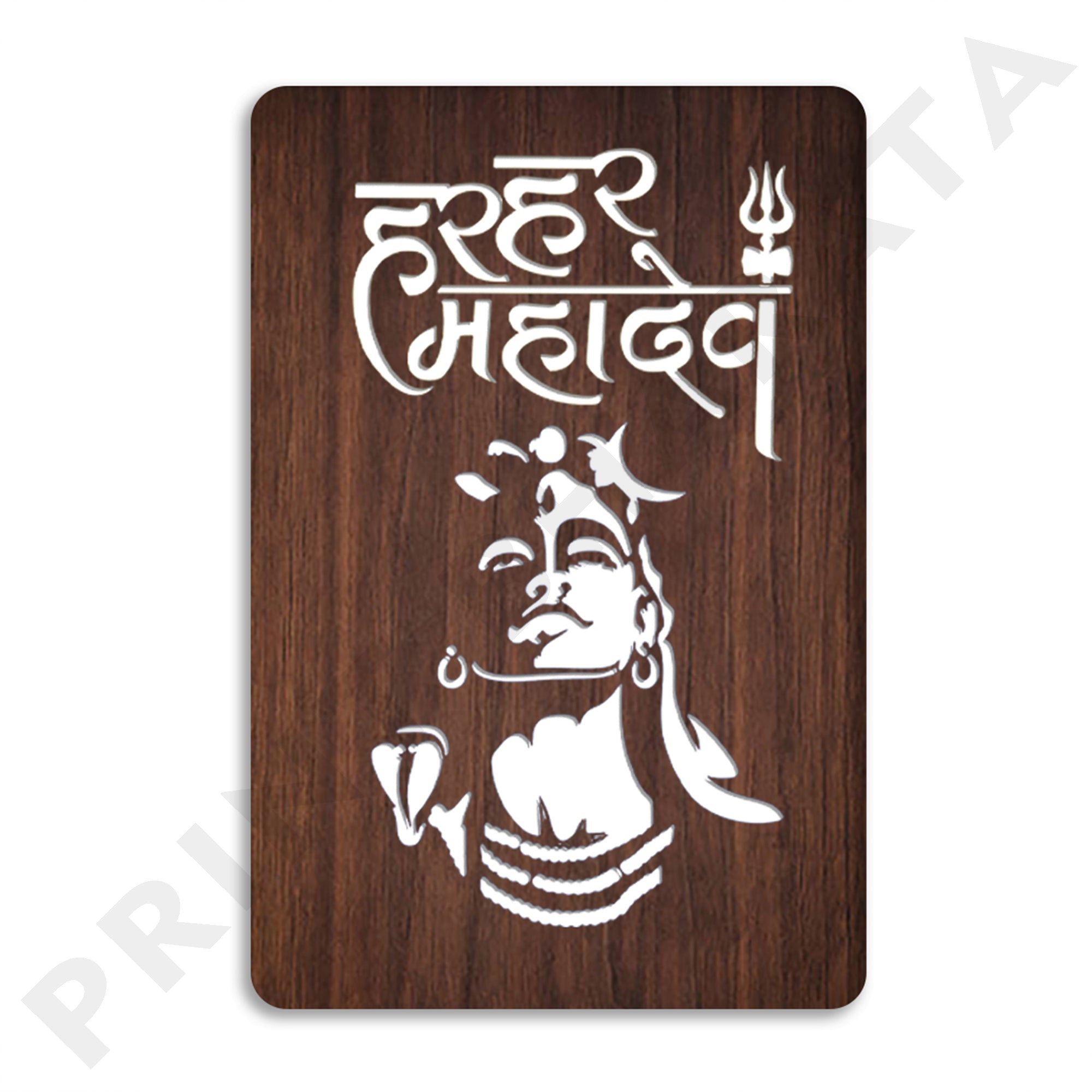 MDf Neon Har Har Mahadev Frame – Print Bharat